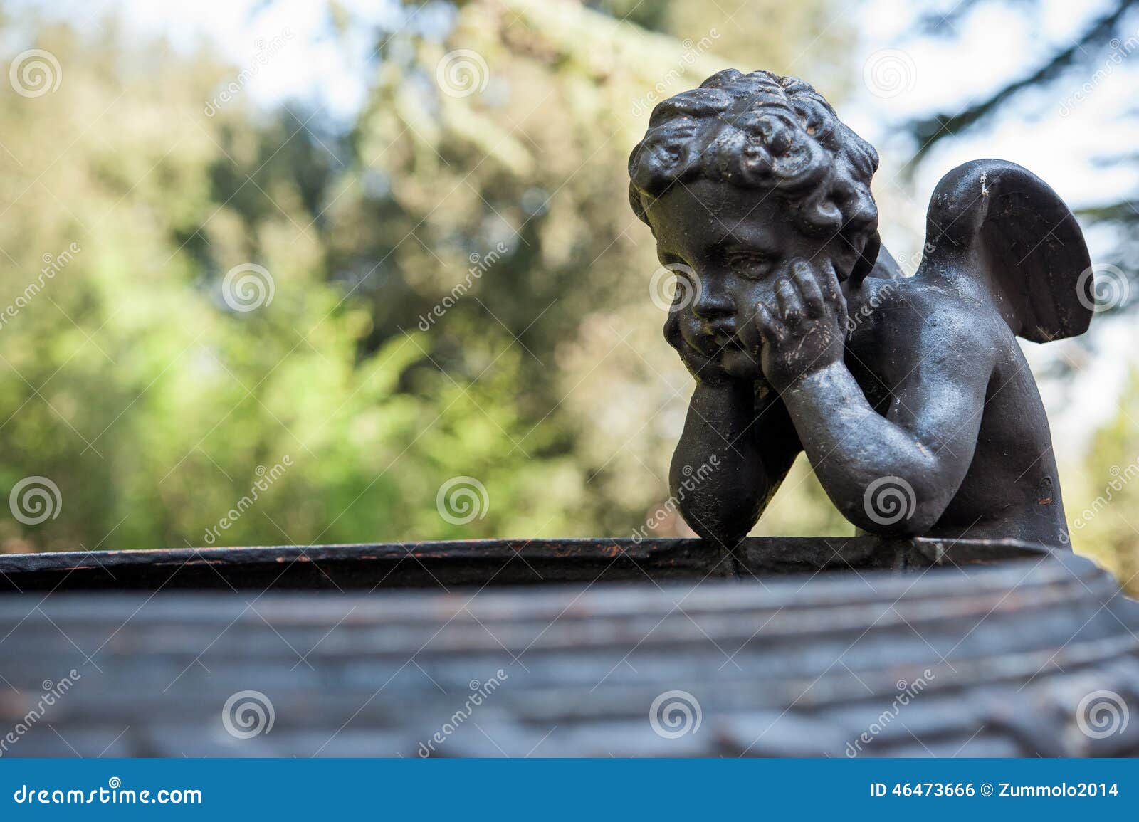 Puttino fotografia stock. Immagine di bronzo, spettatore - 46473666
