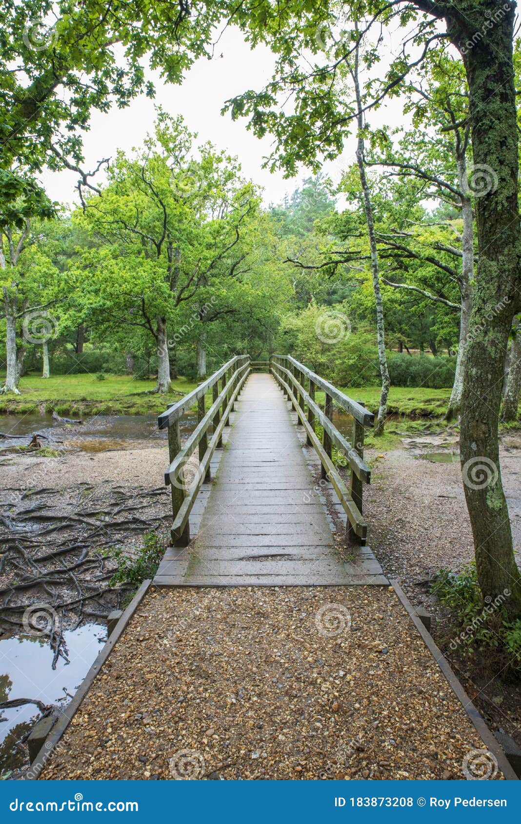 Puttles Foot Bridge in the New Forest Stock Photo - Image of forestuk ...