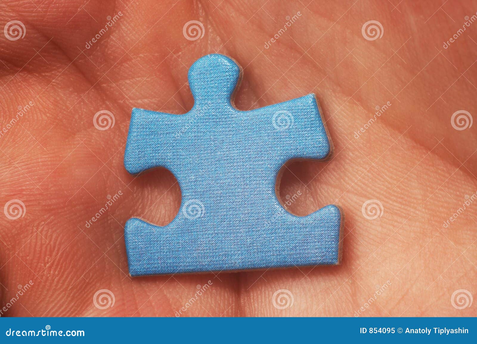 Puzzle In Hand Picture. Image: 854095