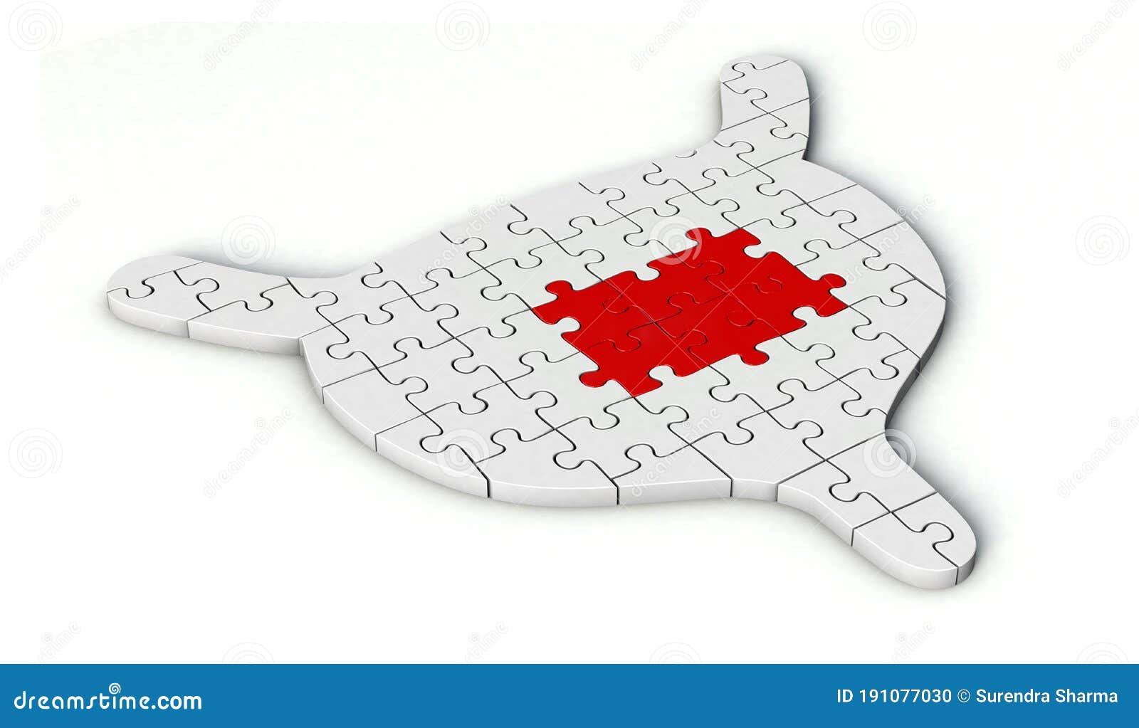 Puzzle Pieces in Shape of Bladder. Bladder Shaped Jigsaw 3d ...