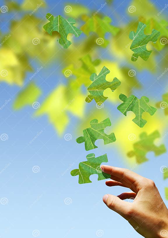 Puzzles of Nature stock image. Image of maple, jigsaw - 1439689