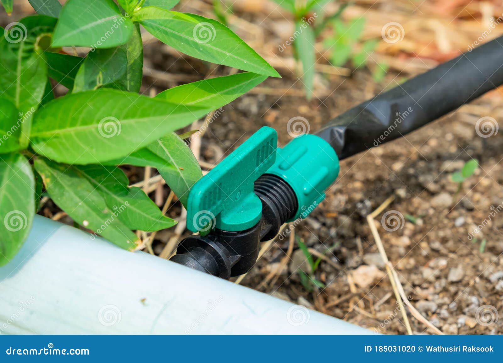 PVC Ball Valve on Ground for Watering Systems Stock Photo - Image of ...