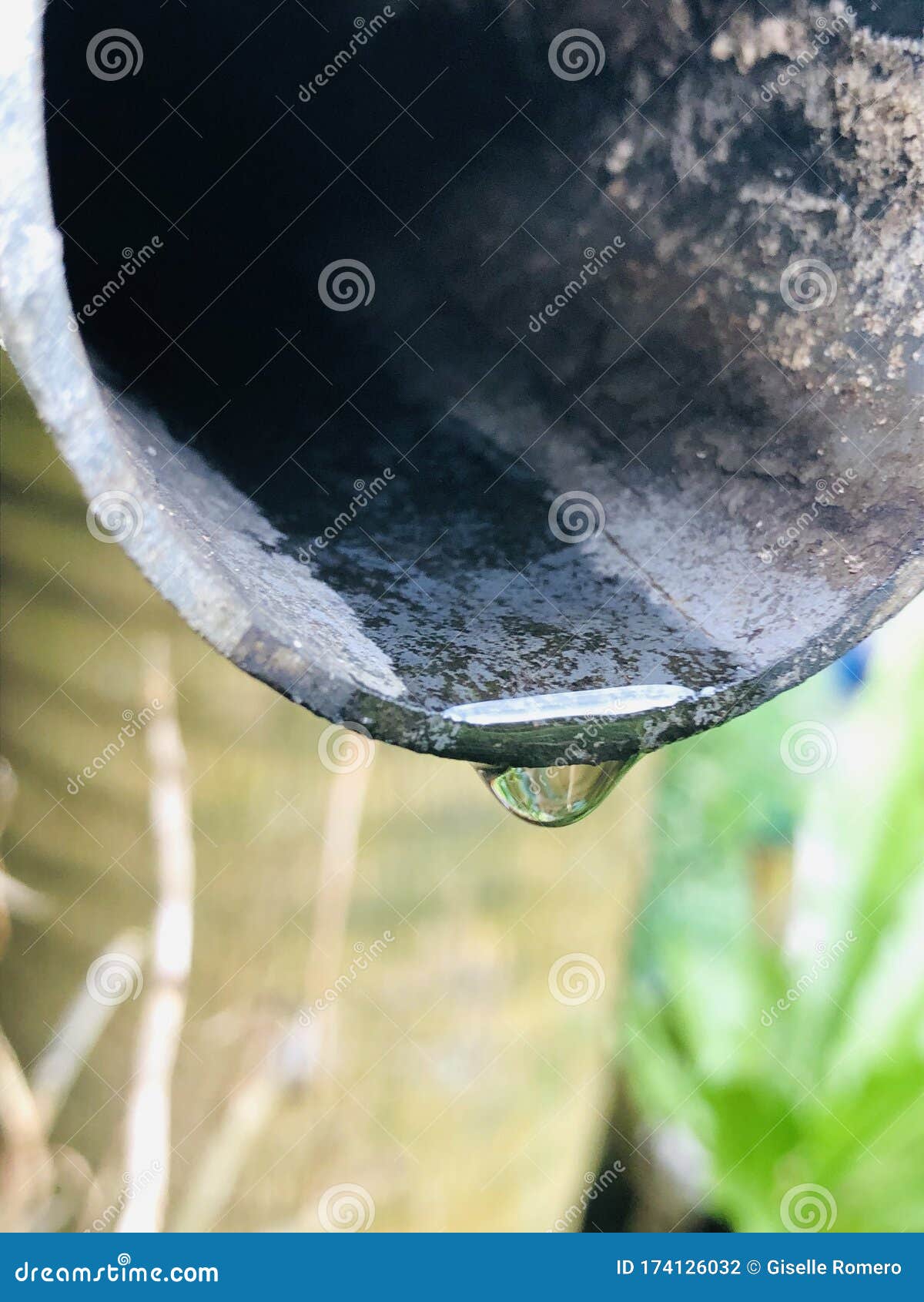 Pvc pine stock photo. Image of house, water, pine, flows - 174126032