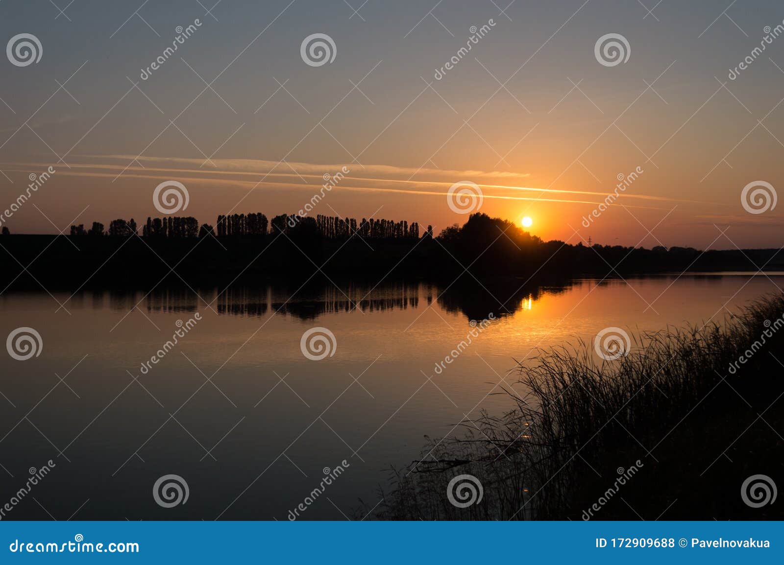Sound Wave Made by Silhouette of Trees at Sunset Background Stock Photo ...