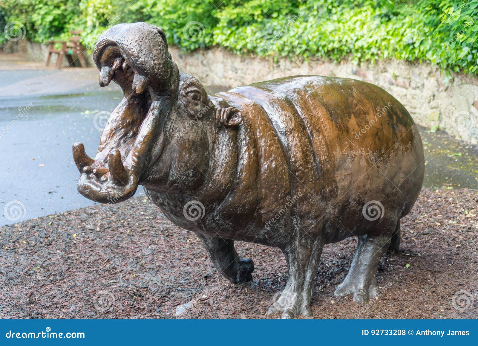 Pygmy Hippo statue stock photo. Image of heavy, rock - 92733208