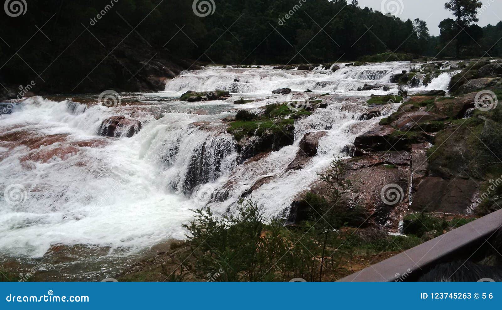 Pykara Falls and Lake Nilgiri, Udhagamandalam Stock Image - Image of ...