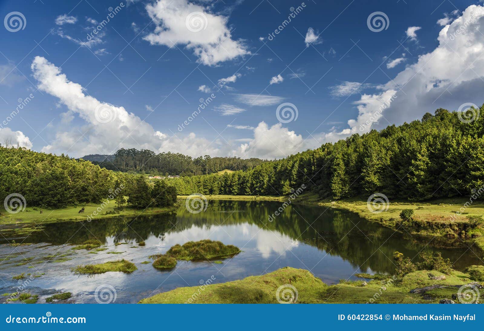 Pykara Lake or River in Ooty Stock Photo - Image of nature, tamilnadu ...