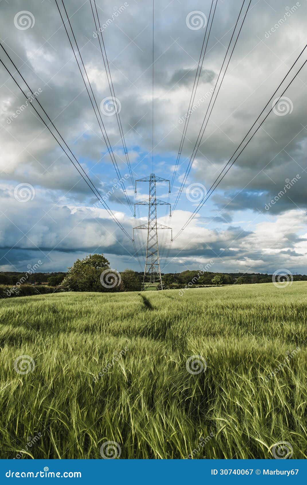Pylon in Barley stock image. Image of industry, steel - 30740067