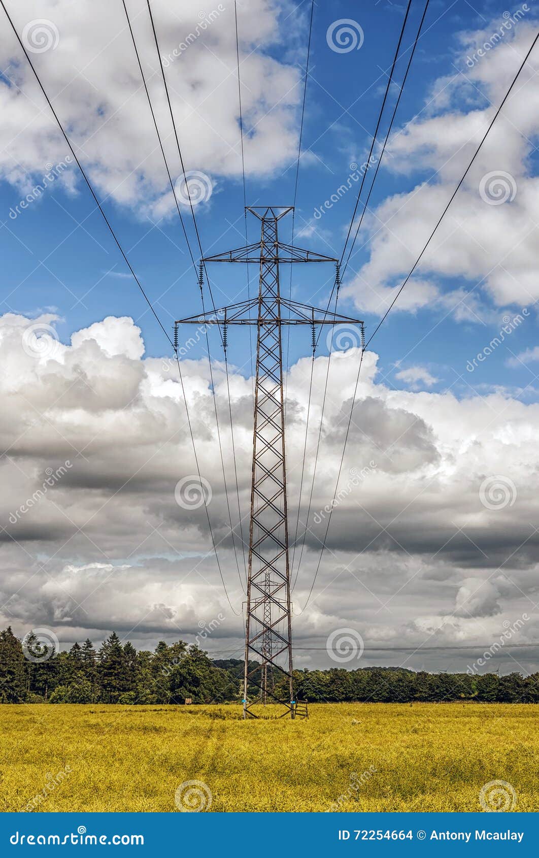 Pylon in Field stock photo. Image of green, landscape - 72254664