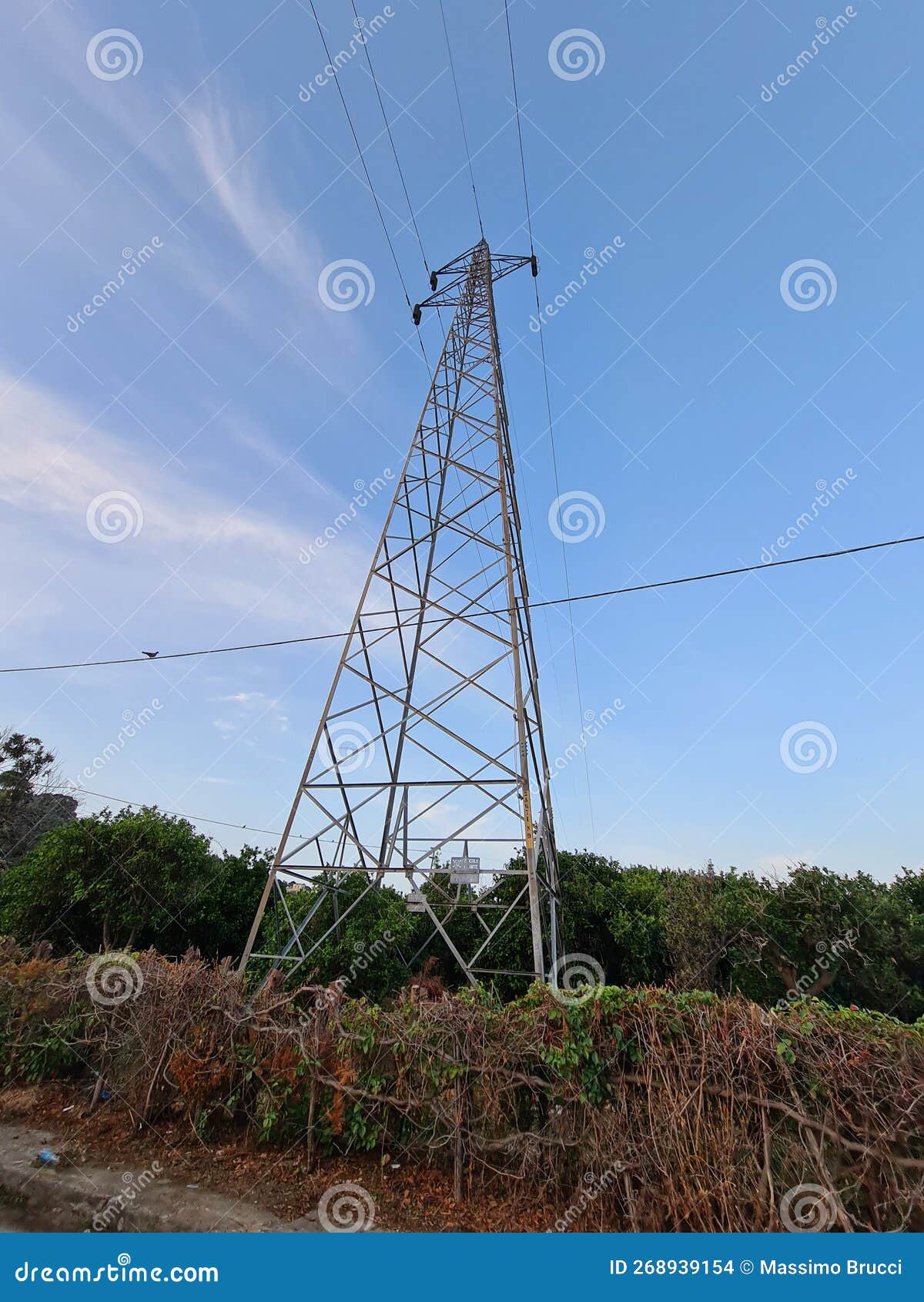 Pylon for the Passage of High Voltage Stock Photo - Image of lamps ...