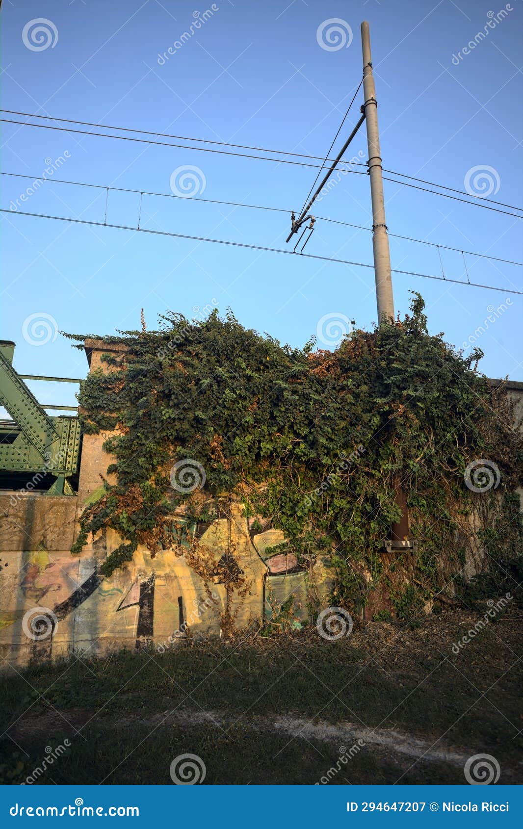 Pylon and Power Lines Over a Wall Covered by Ivy at Sunset Stock Image ...