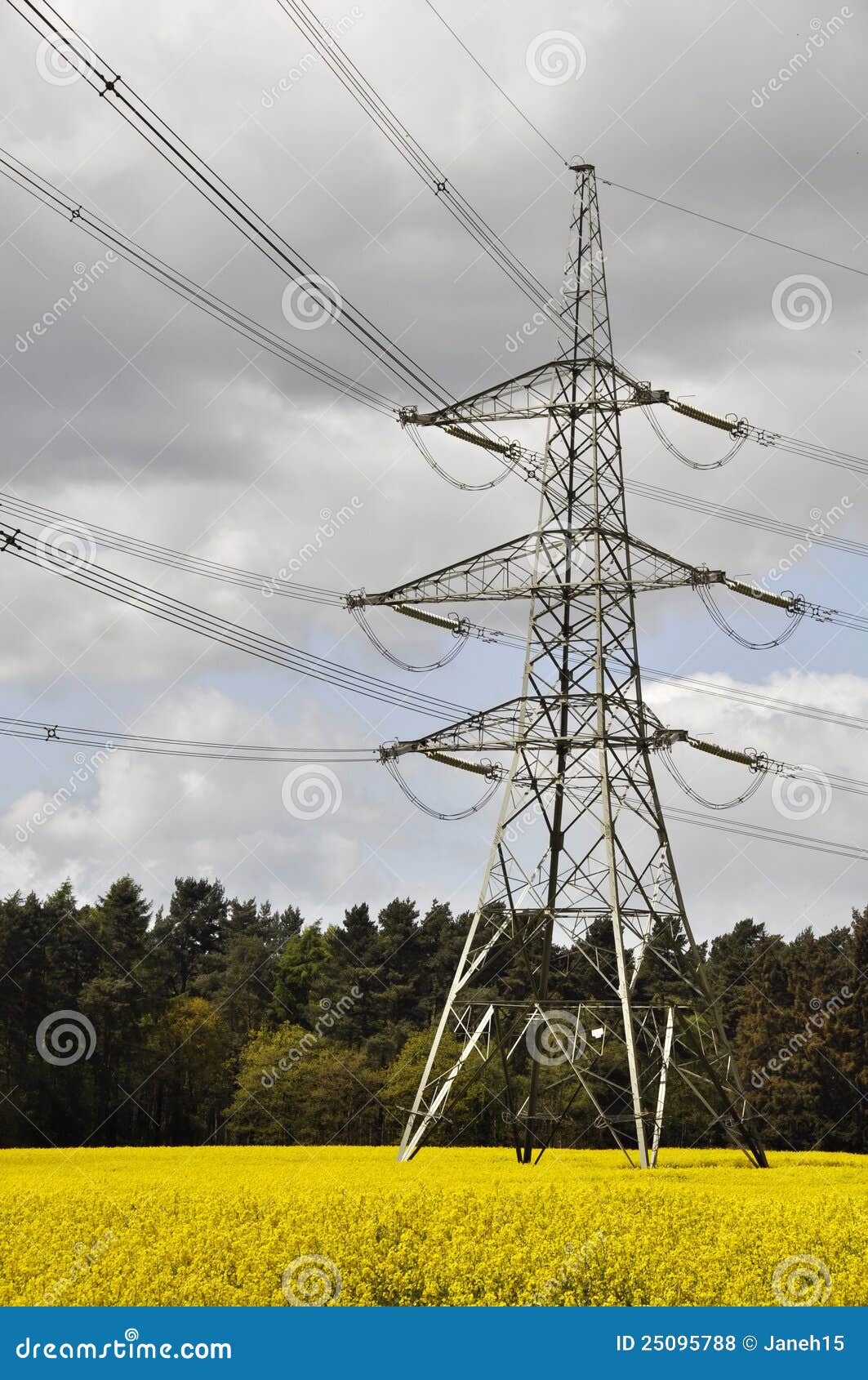 Pylon in seed field stock photo. Image of england, natural - 25095788