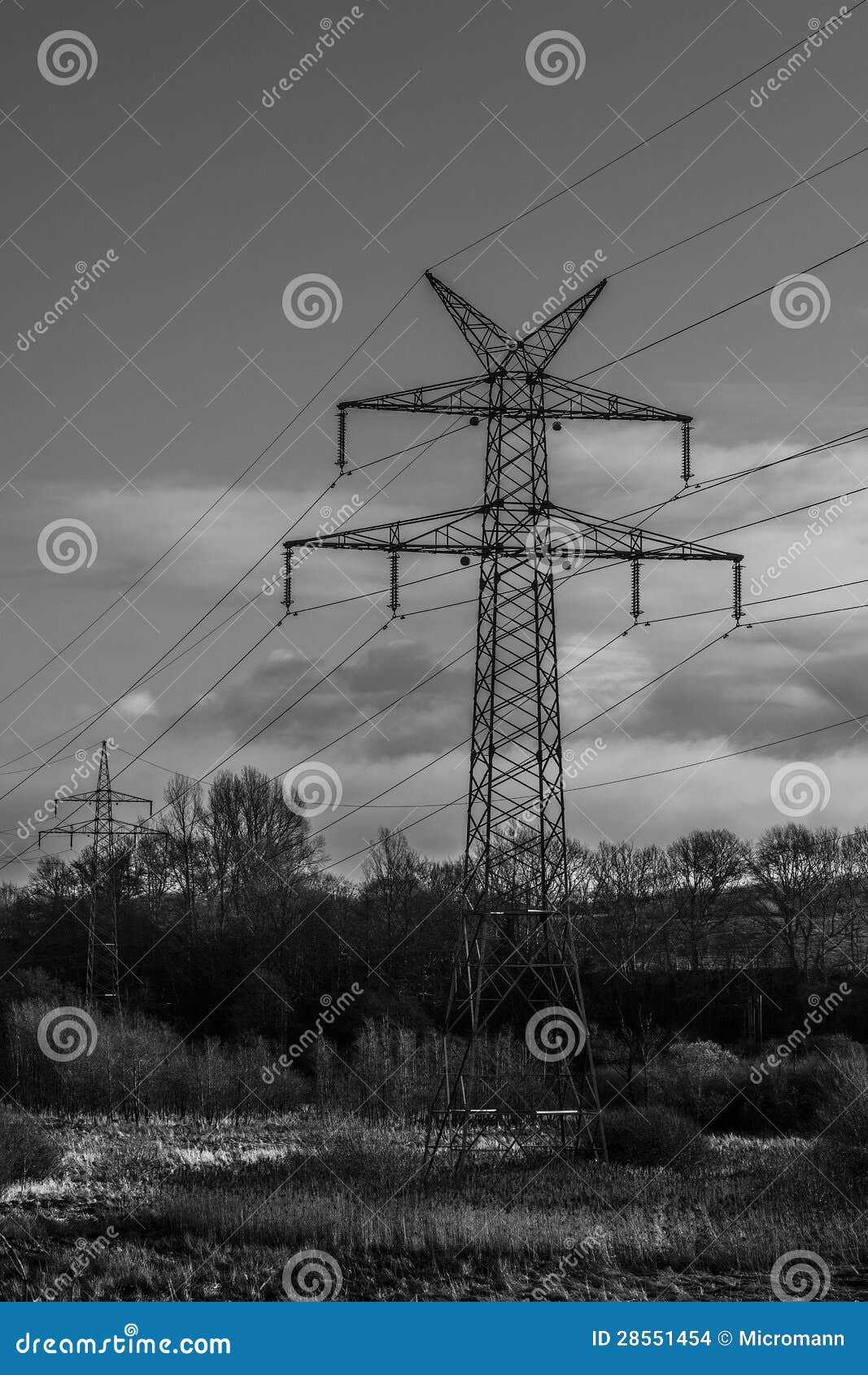 Pylons - black and white stock photo. Image of ecology - 28551454