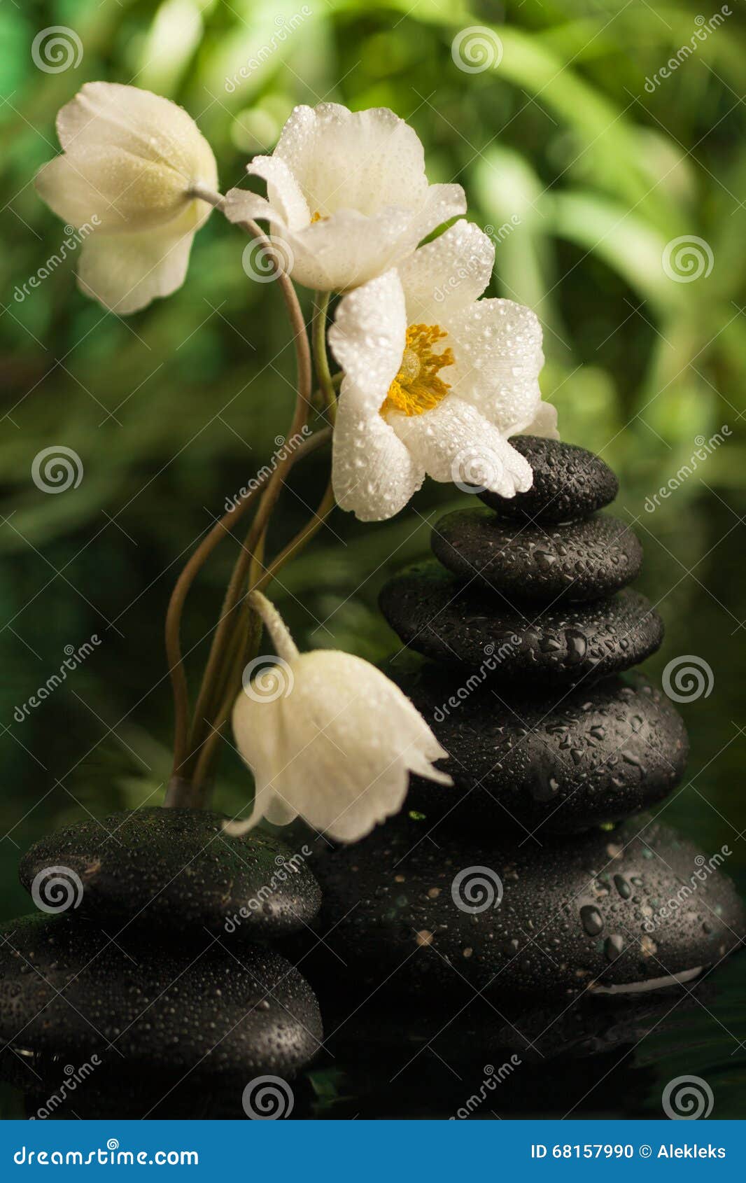 Pyramid of Black Stones and White Flower Stock Photo - Image of asian ...