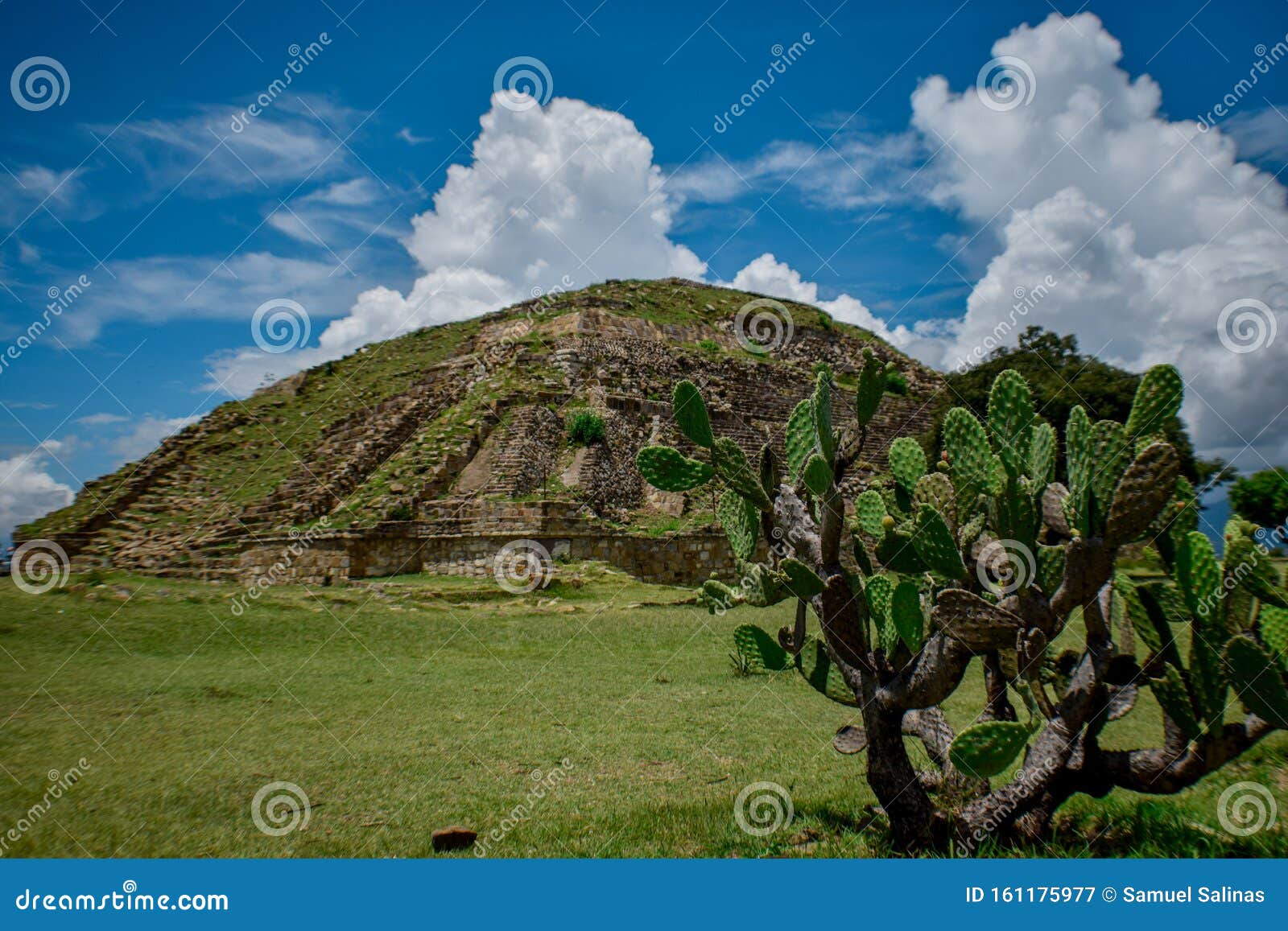 Pyramid with Cactus and a Blue Sky and Full of Clouds Stock Image ...