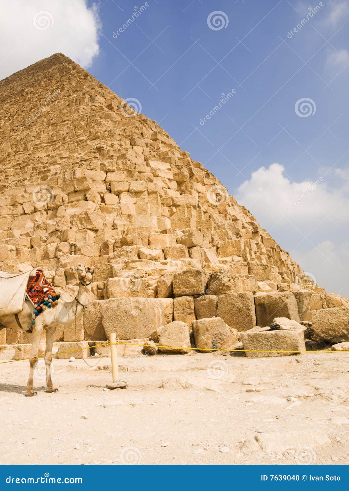 Pyramid of Cheops stock photo. Image of camel, culture - 7639040