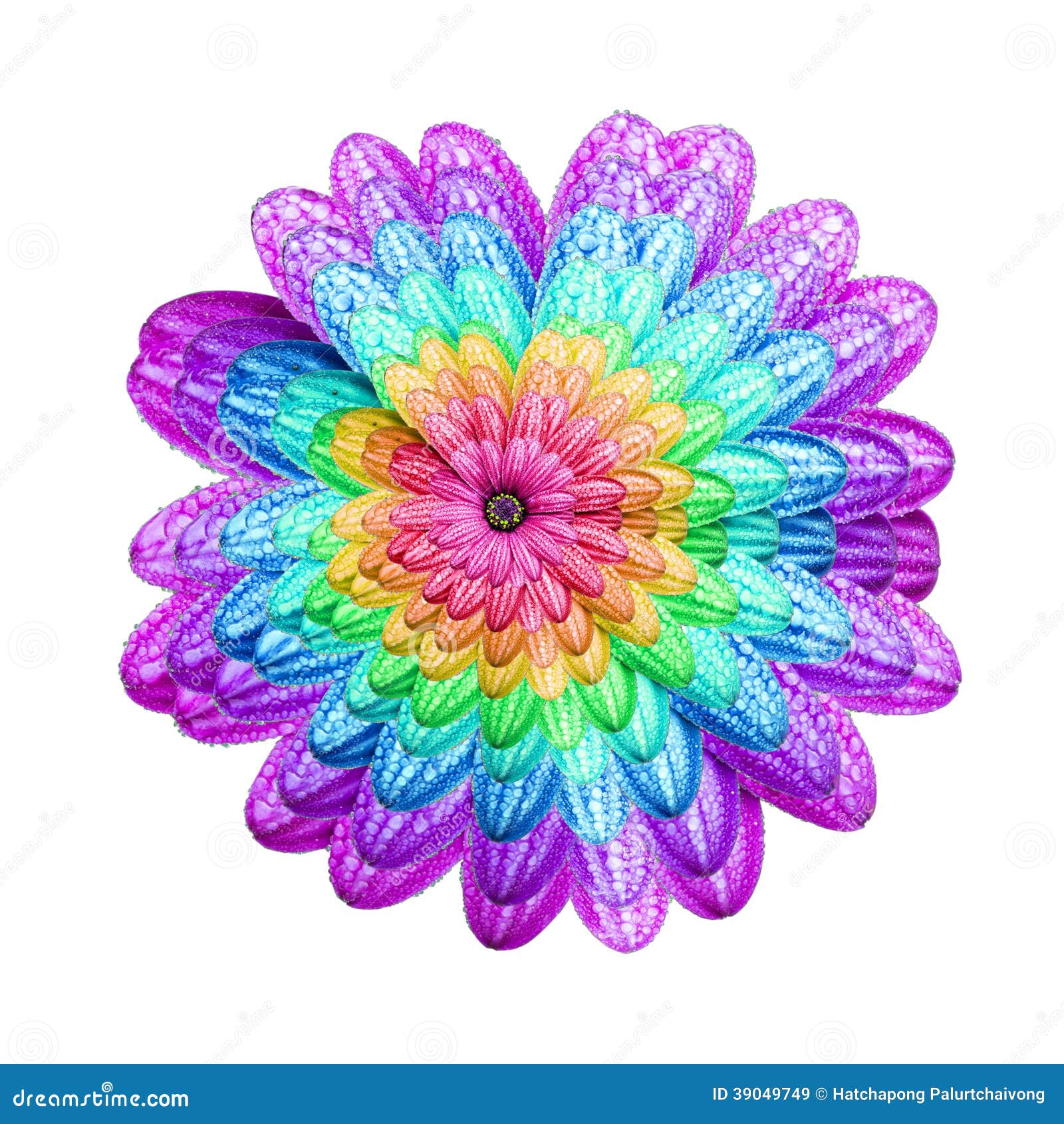 Pyramid flower stock image. Image of botany, group, flora - 39049749