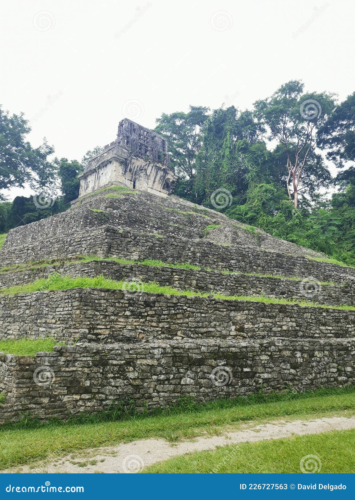 Pyramid in the jungle stock image. Image of village - 226727563