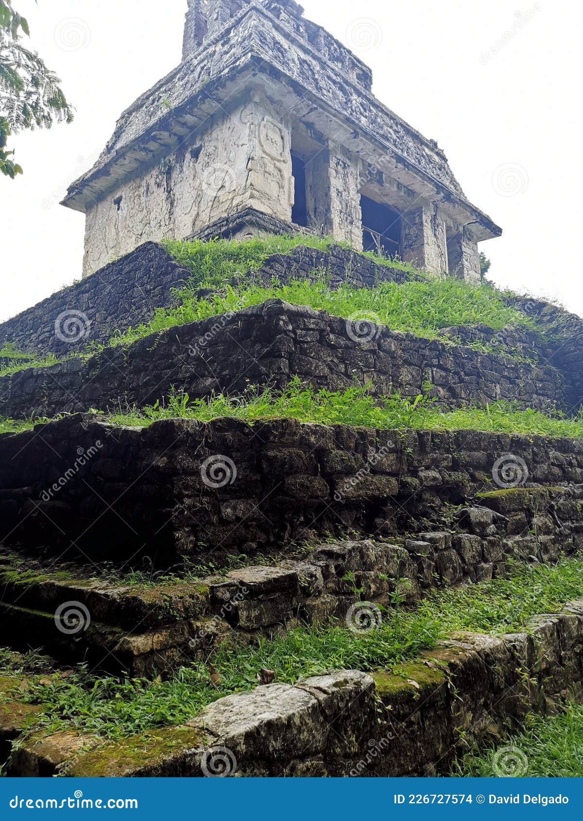 Pyramid in the jungle stock photo. Image of castle, temple - 226727574