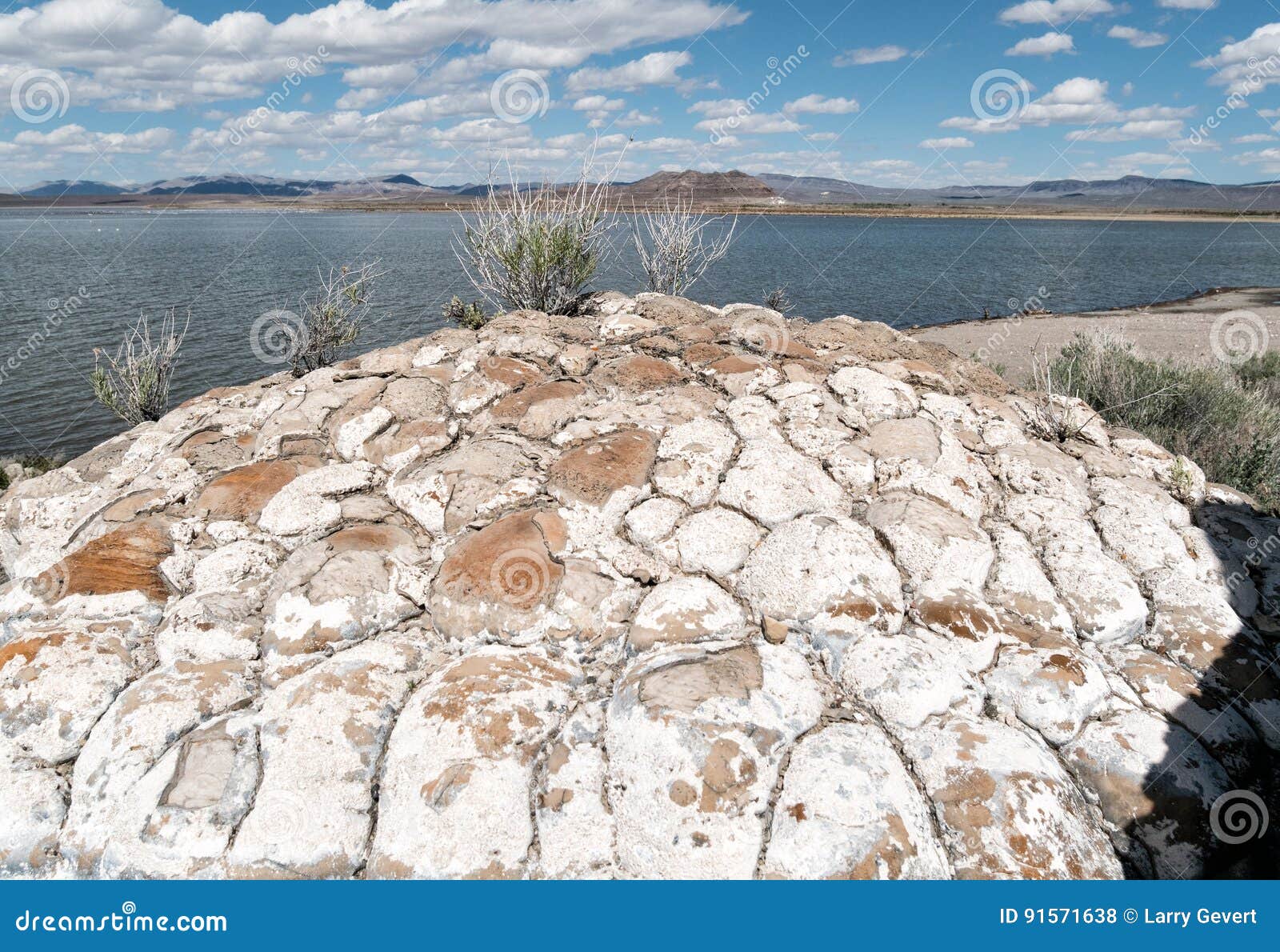 Pyramid Lake, Nevada, Tufa Rock Formations Stock Photo - Image of great ...