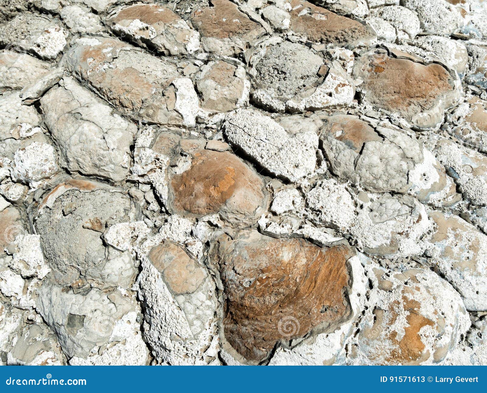 Pyramid Lake Tufa rock stock image. Image of geological - 91571613