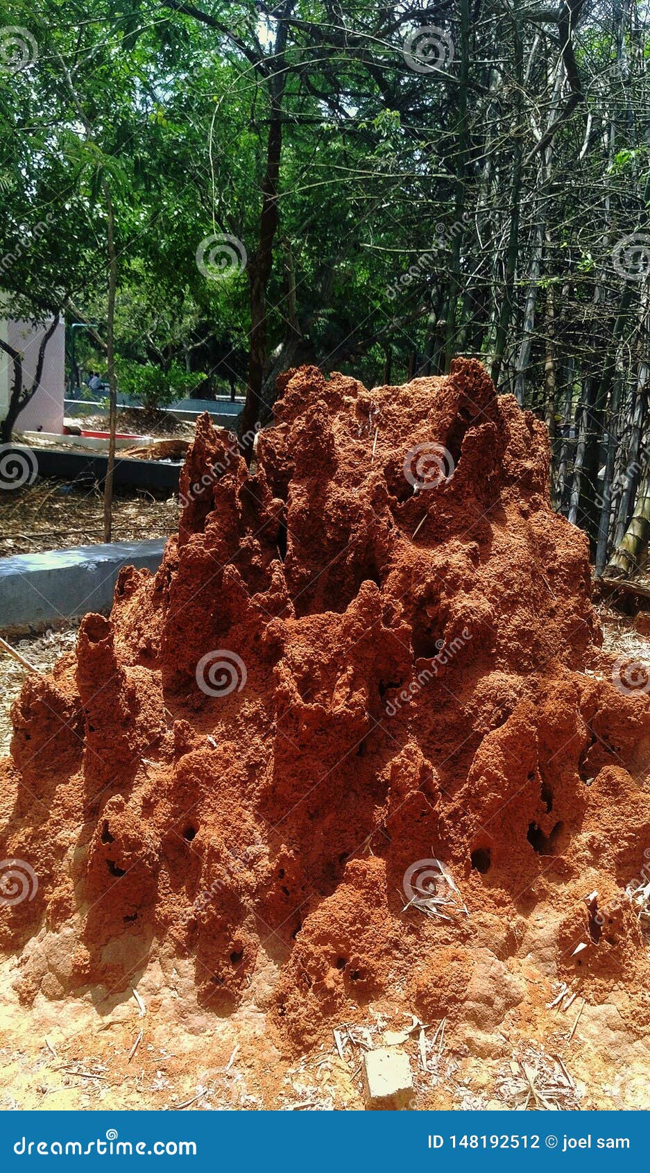 The Pyramid Made by Ants and Dwelling by Snake Stock Photo - Image of ...