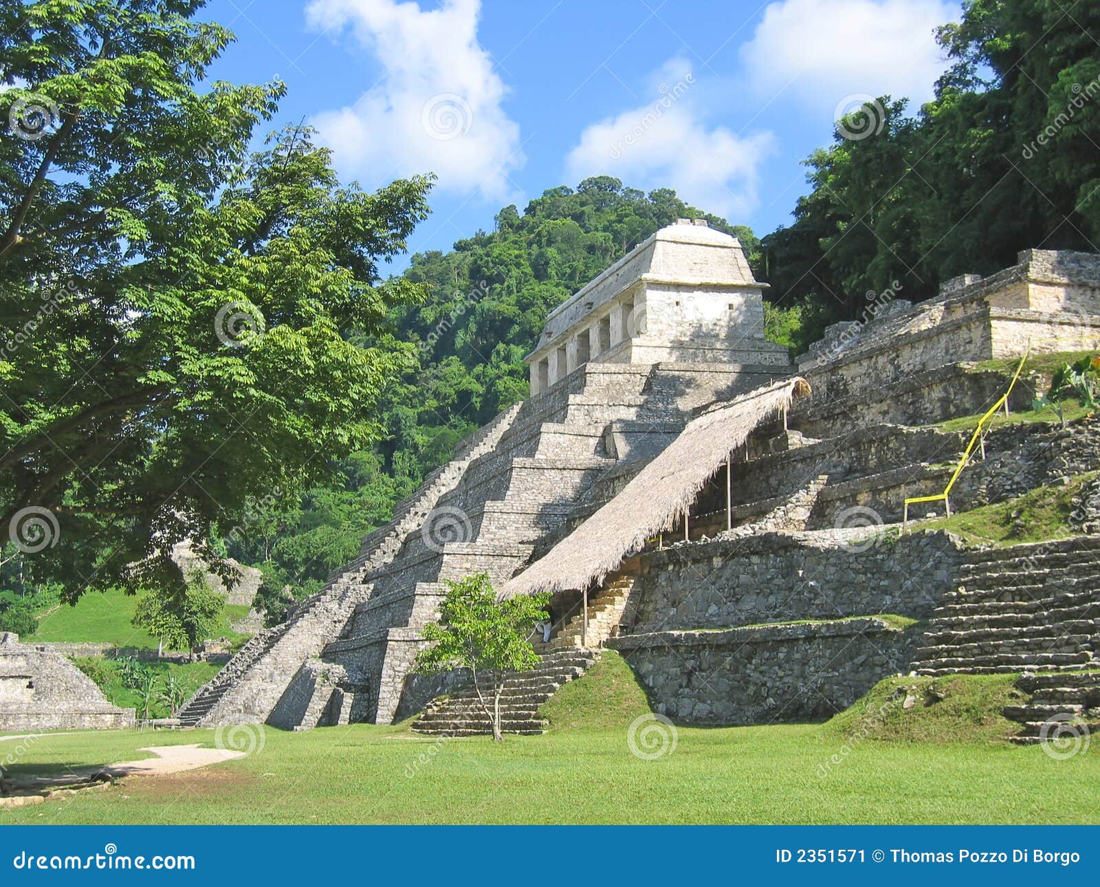 Mayan Pyramid Jungle