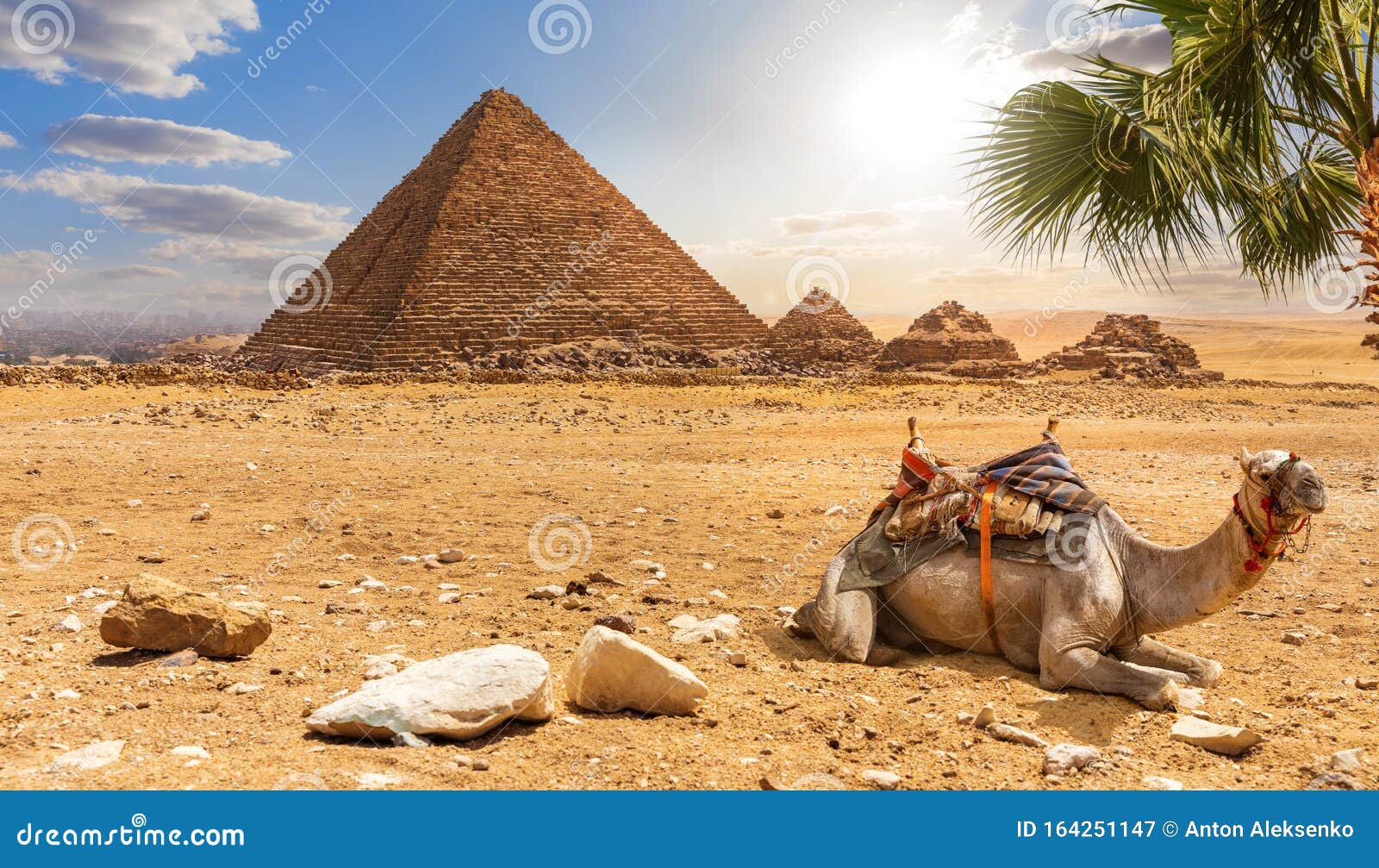 The Pyramid of Menkaure and a Camel, Beautiful Desert Scenery, Egypt ...