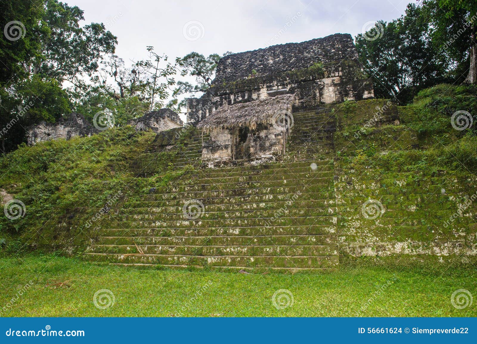 Pyramid of Mundo Perdido stock photo. Image of forest - 56661624