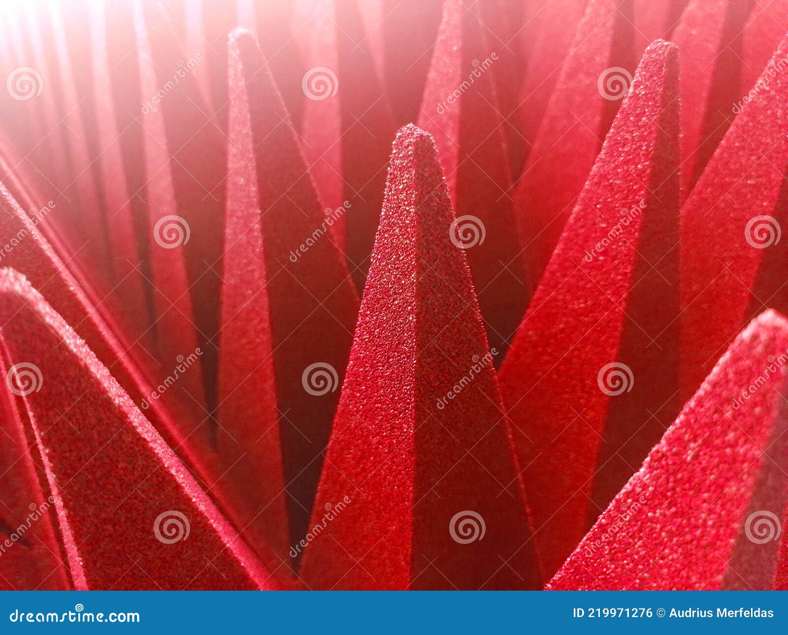 Pyramid Shape Microwave Electromagnetic Absorbers Stock Photography ...