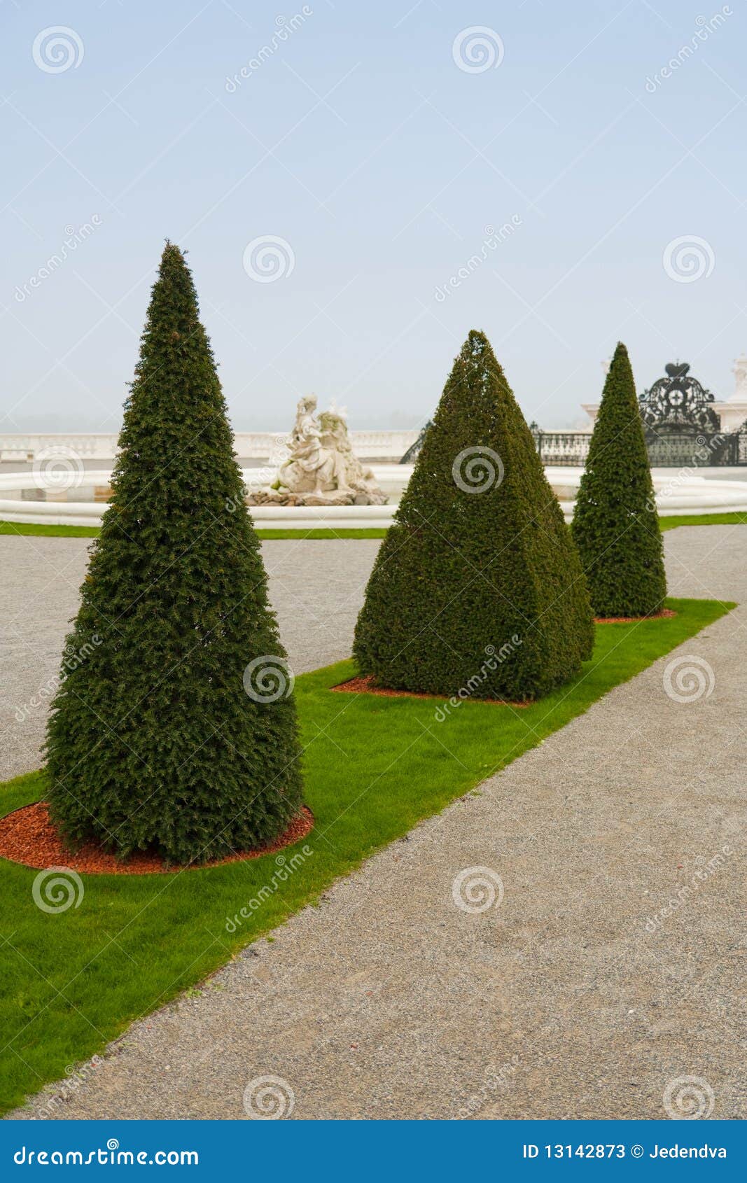 Pyramid shaped trees stock image. Image of classic, trees - 13142873