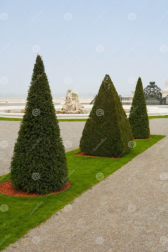 Pyramid shaped trees stock image. Image of classic, trees - 13142873