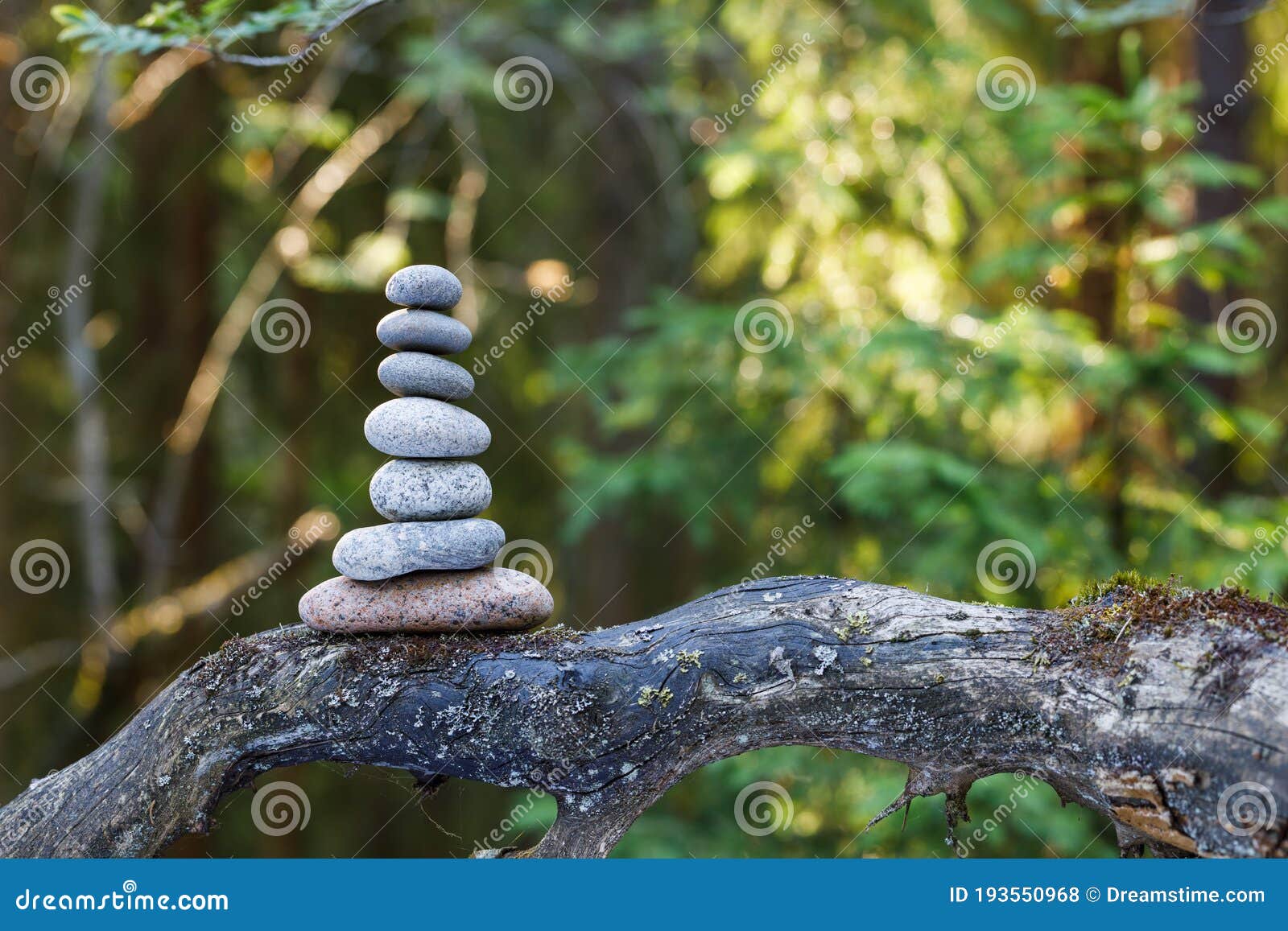 Pyramid Stones Balance on a Tree Trunk in the Forest. Pyramid in Focus ...