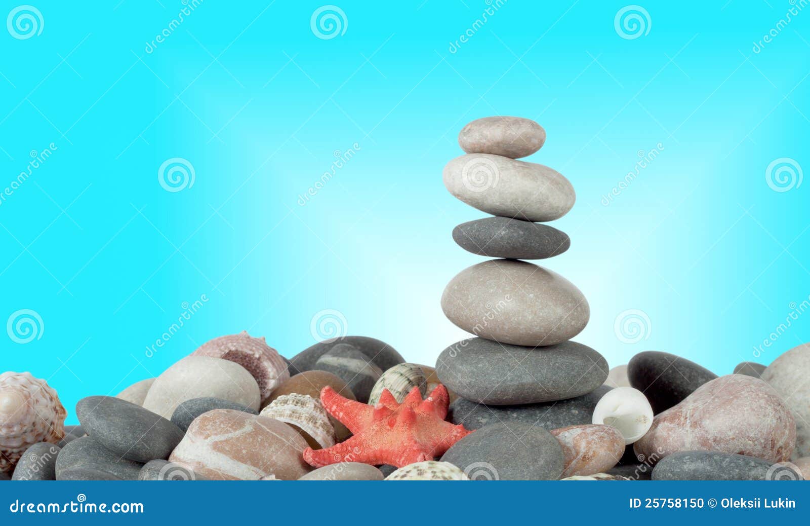 Sea Shells Pyramid Stock Photography | CartoonDealer.com #1277114