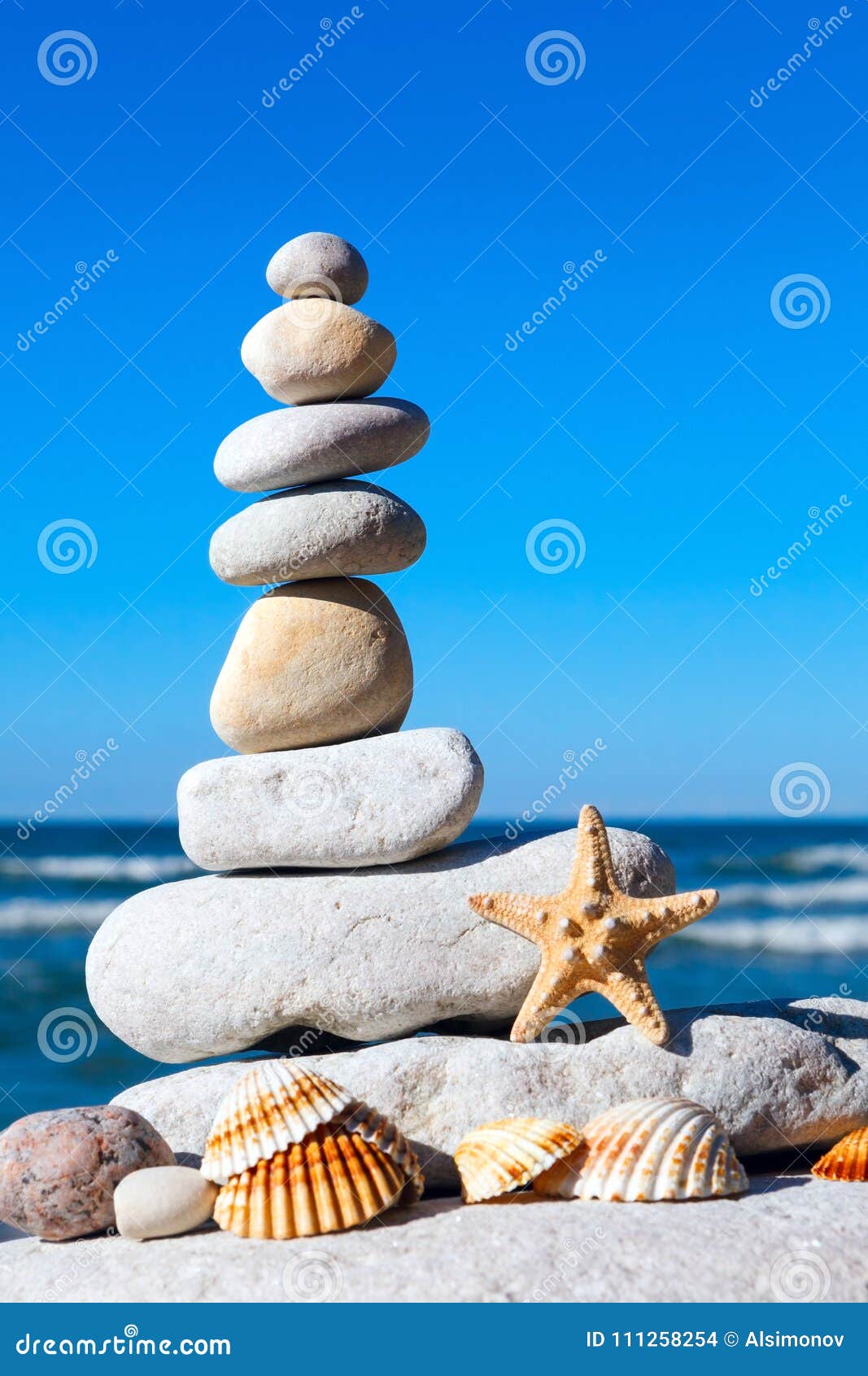 Sea Shells Pyramid Stock Photography | CartoonDealer.com #1277114