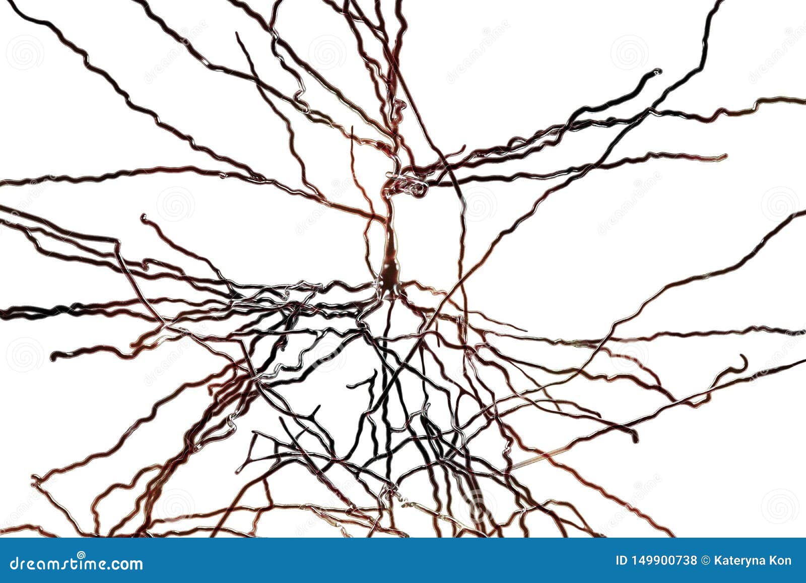 Pyramidal Neuron, Human Brain Cell Stock Illustration - Illustration of ...