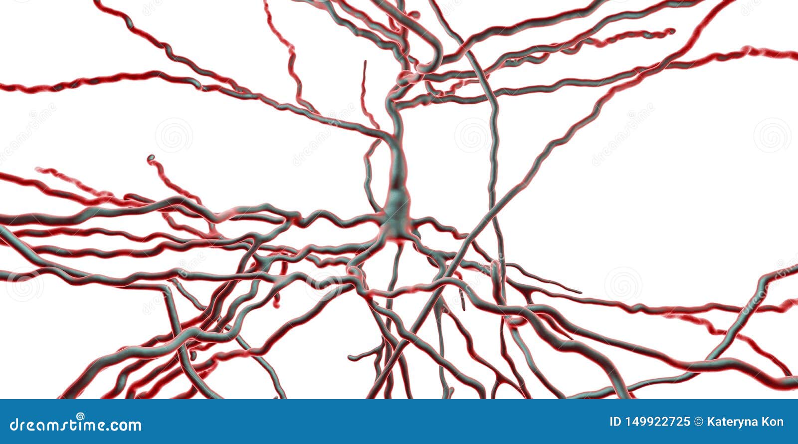 Pyramidal Neuron Stock Illustrations – 92 Pyramidal Neuron Stock ...