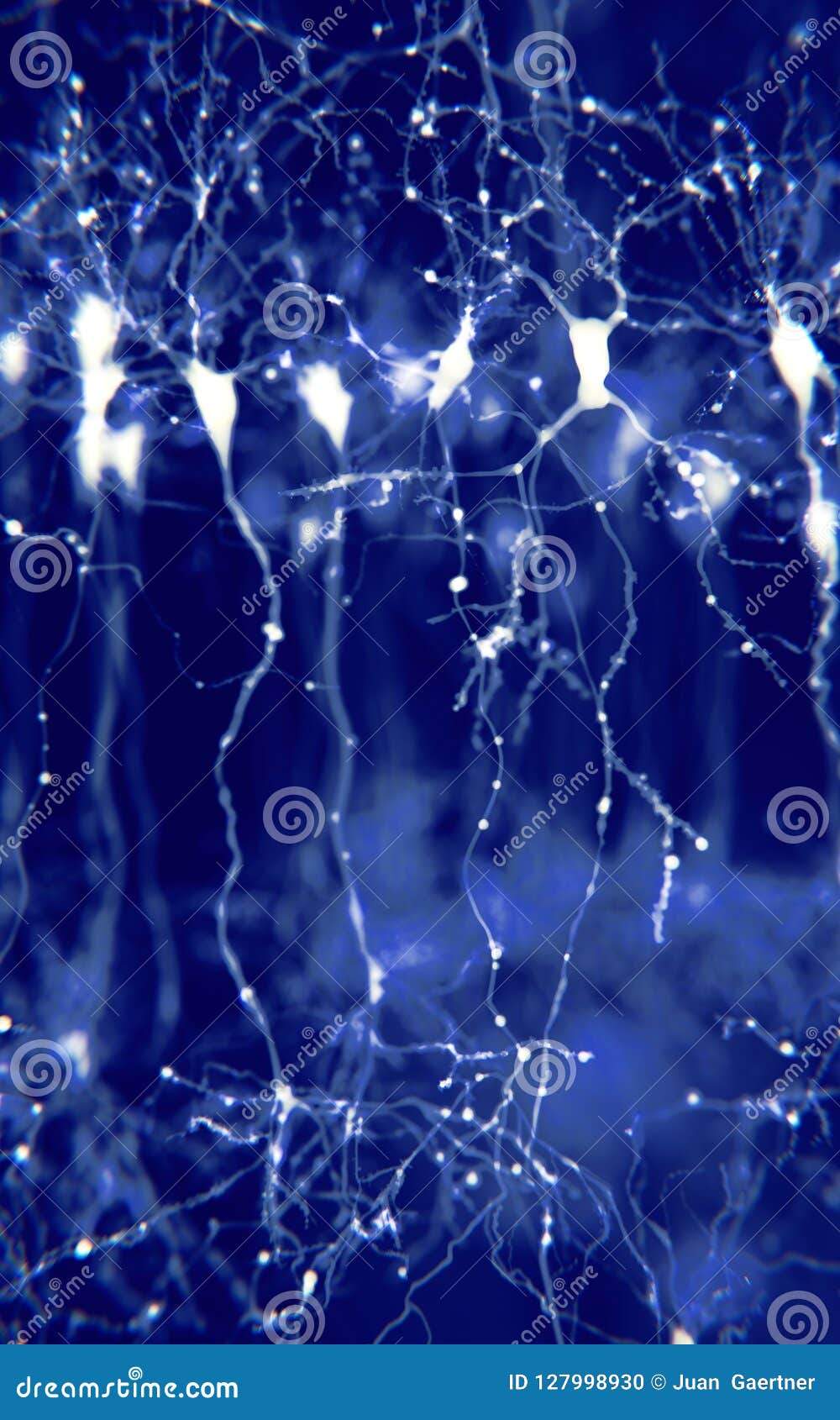 Pyramidal Neuron, Human Brain Cell Royalty-Free Cartoon | CartoonDealer ...