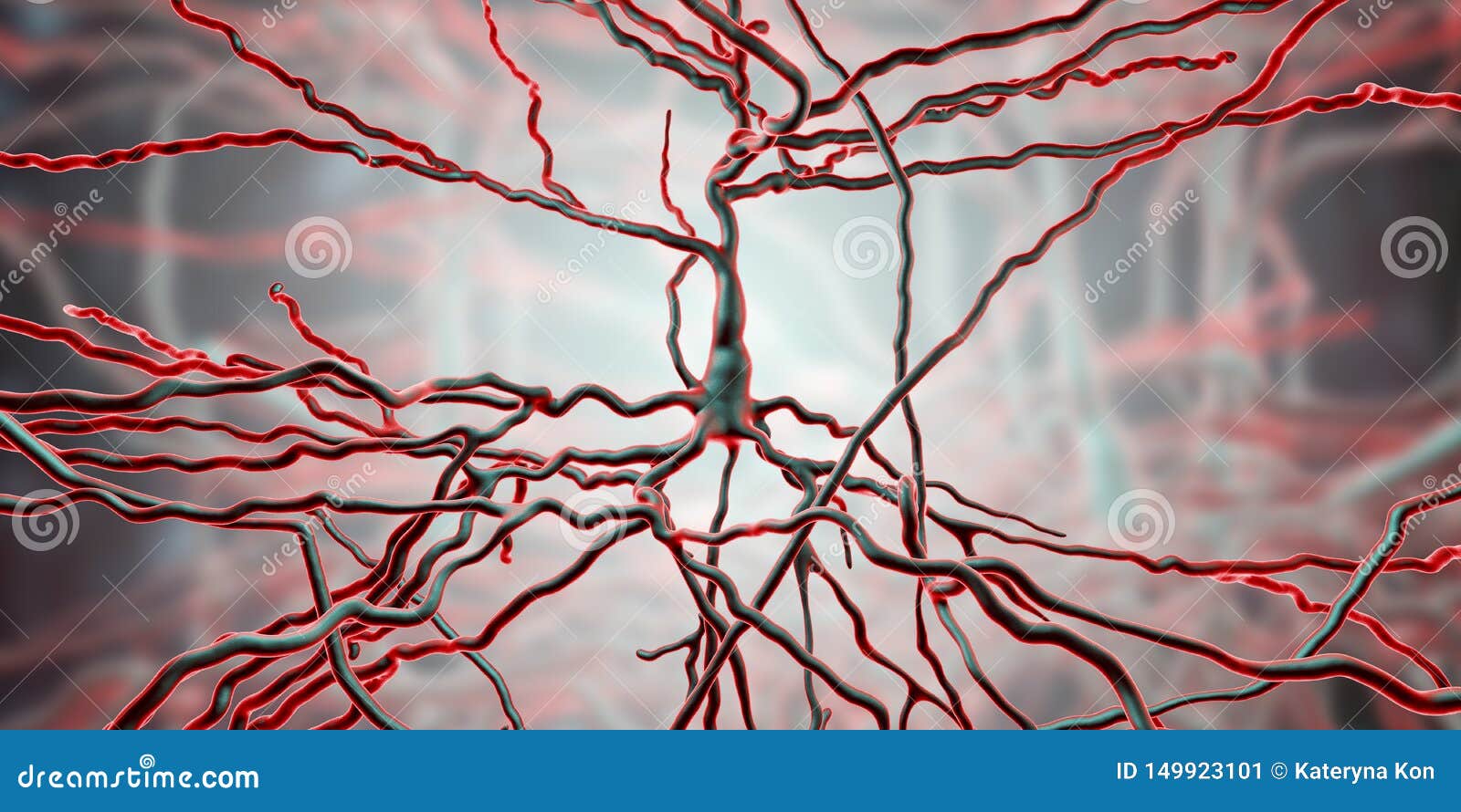 Pyramidal Neurons, Human Brain Cells Stock Illustration - Illustration ...