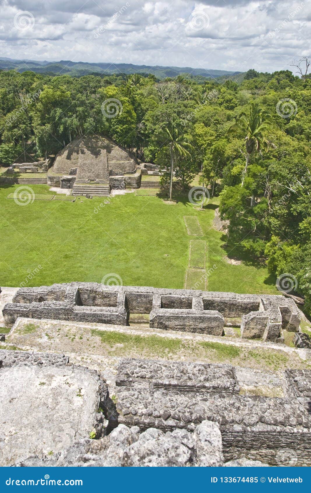 Pyramide De Caana Chez Caracol à Belize Image stock - Image du central ...
