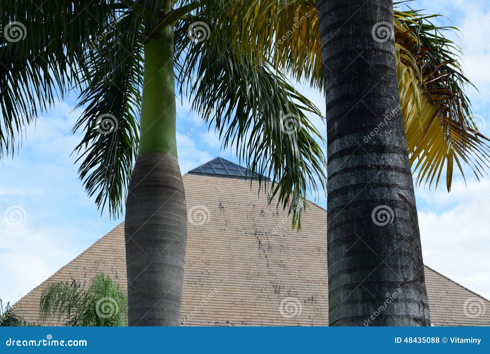 Pyramide in Florida Mit Palmen in Der Front Redaktionelles Stockfoto ...