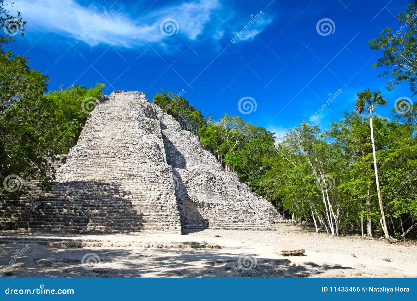 Pyramide Maya De Nohoch Mul Dans Coba Photo stock - Image du indien ...