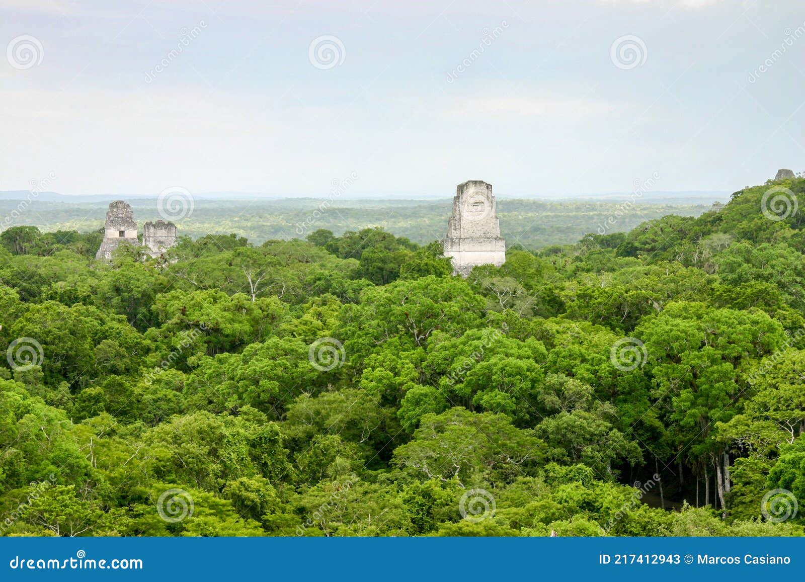 Pyramids Tikal Guatemala stock image. Image of maya - 217412943