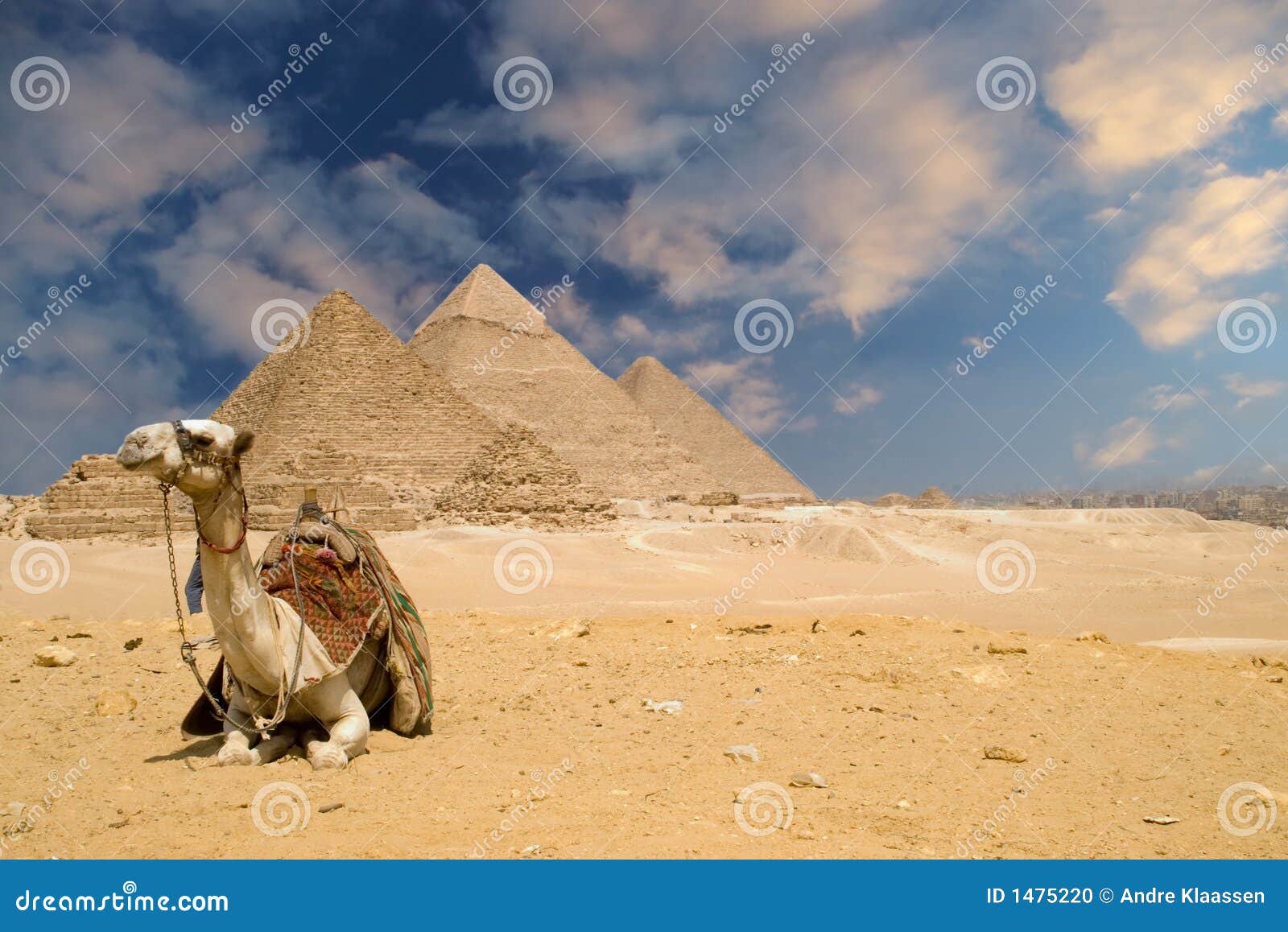 The Pyramids Camel stock photo. Image of colors, clouds - 1475220