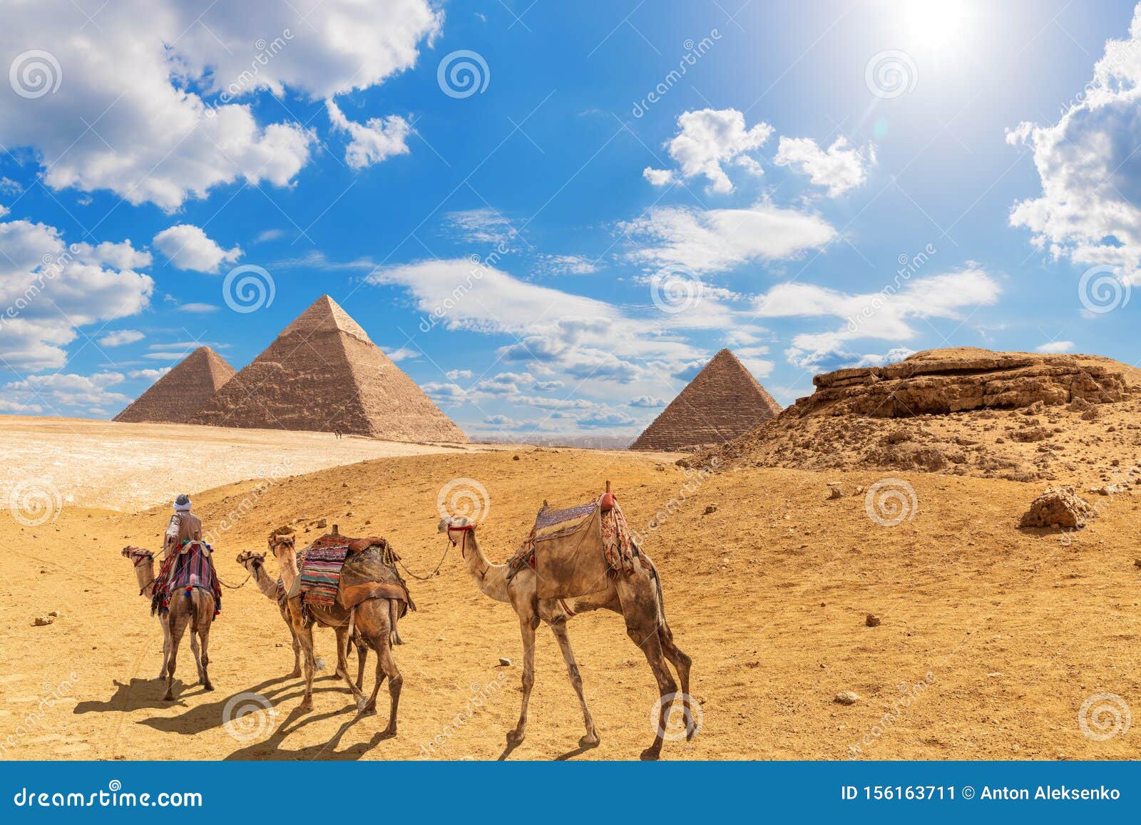 The Pyramids and Camels with a Bedouin in Giza Desert, Egypt Editorial ...