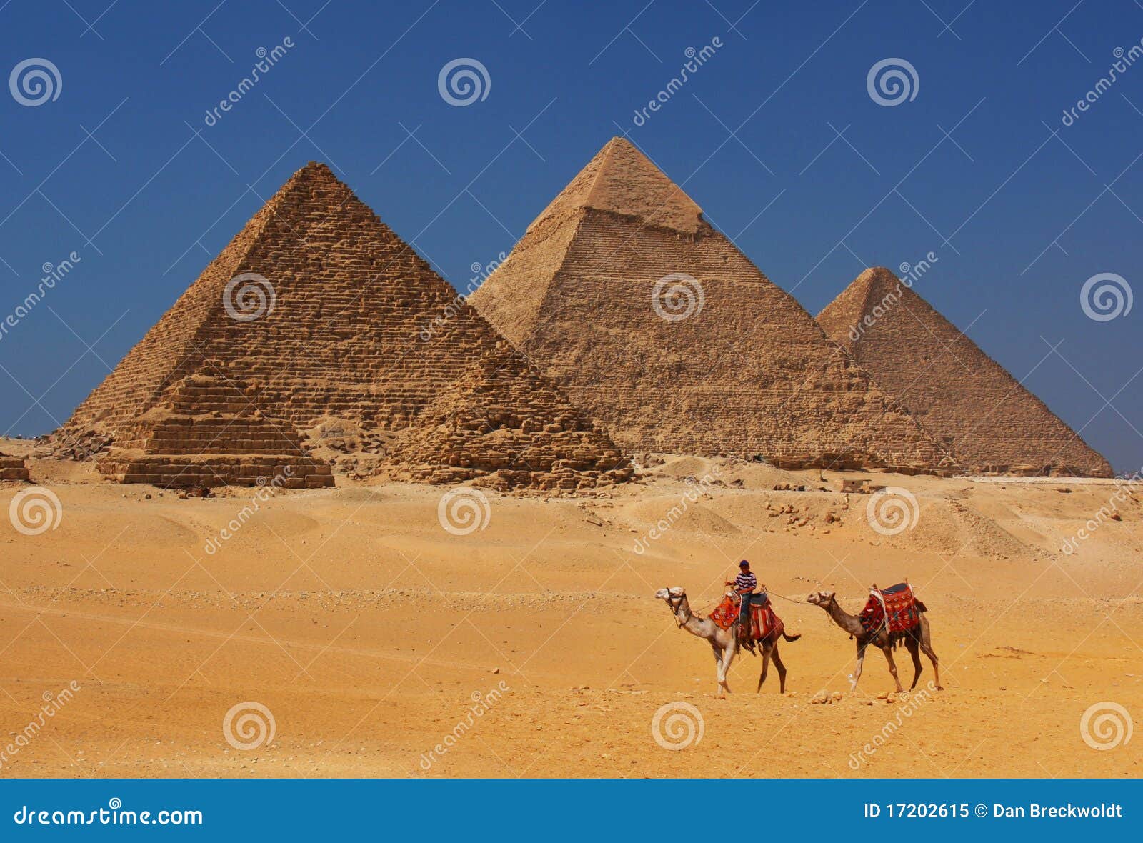 Mummy Pyramid Solitaire Paradise