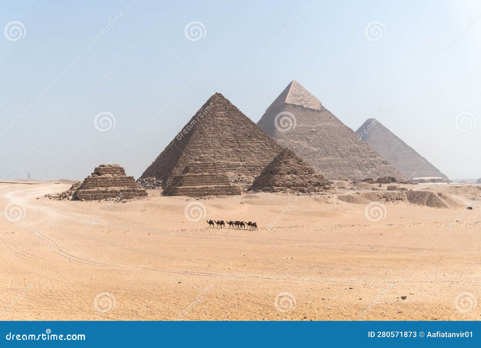 Pyramids of Giza with Camels in the Distance Stock Image - Image of ...