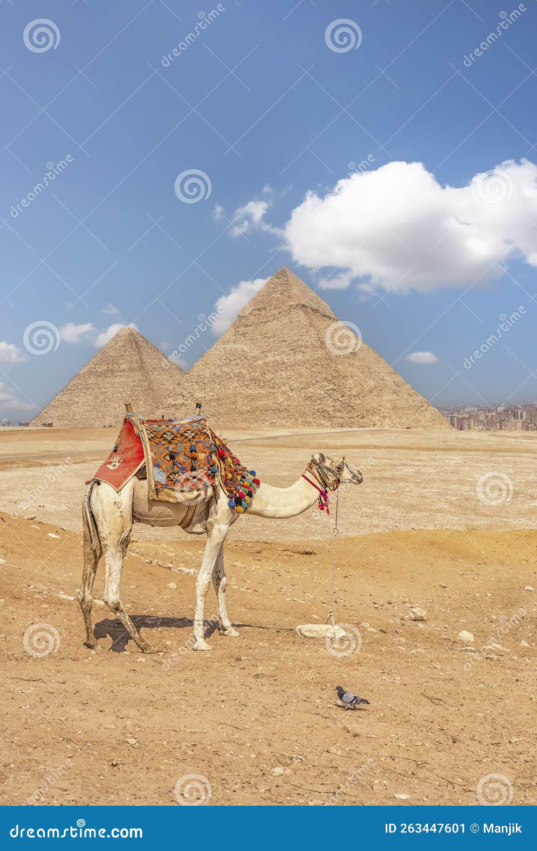 The Pyramids of Giza in Egypt Stock Image - Image of giza, historic ...