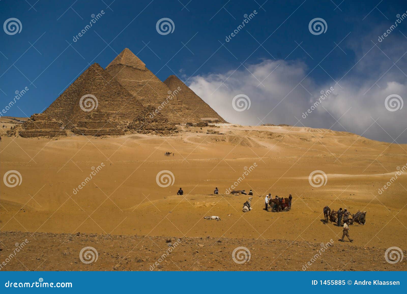 Pyramids group stock image. Image of mule, donkey, colors - 1455885