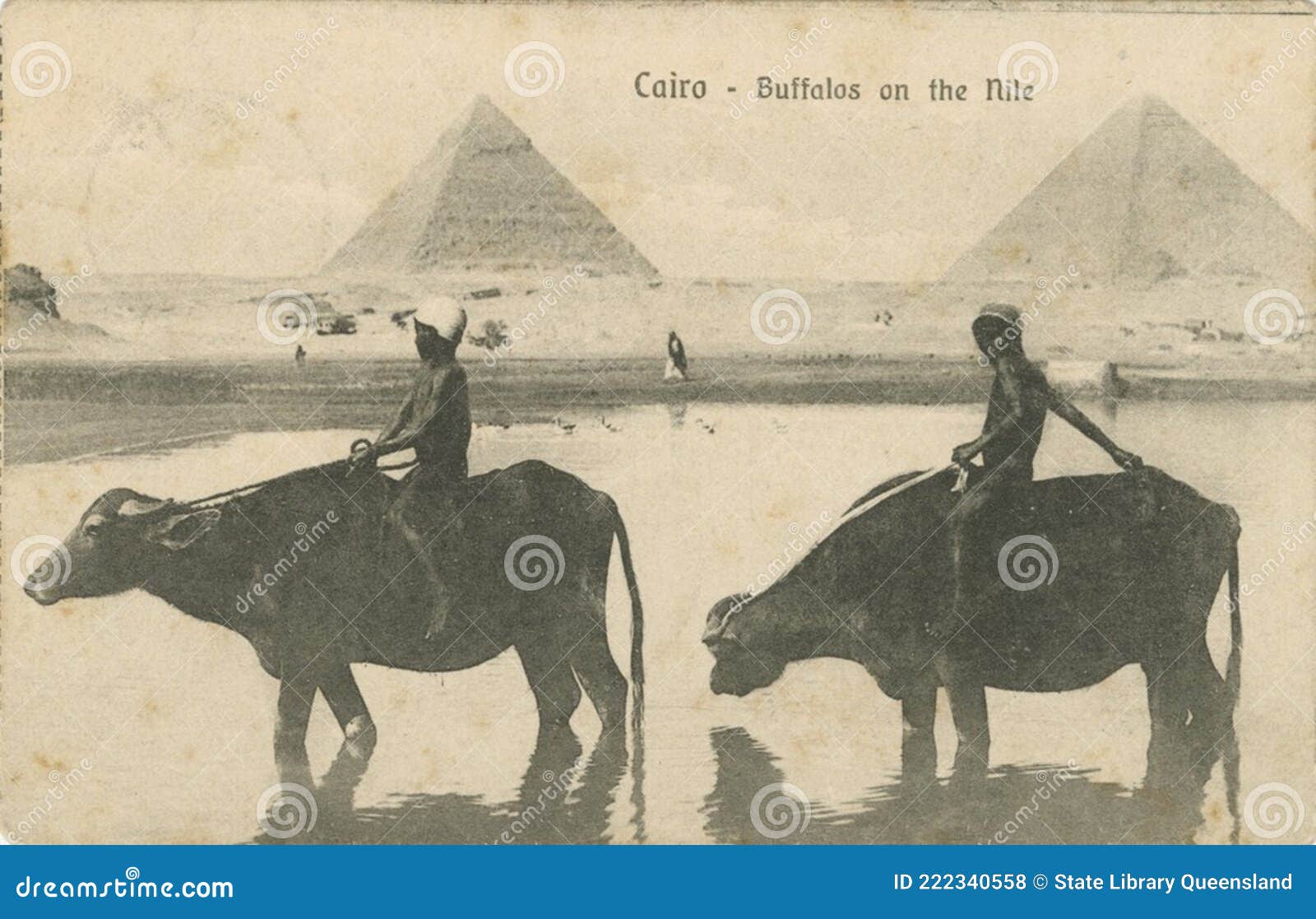 Pyramids Postcard From Sgt. Roy Proctor To His Sister Ruby Picture ...